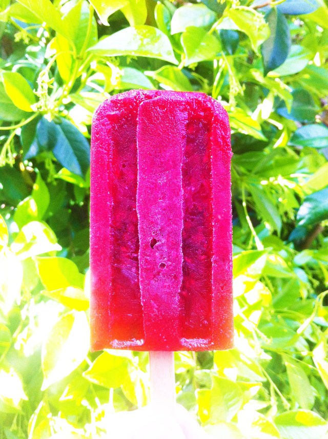 Raspberry Paletas with Hibiscus and Rosehip Tea | The Paddington Foodie