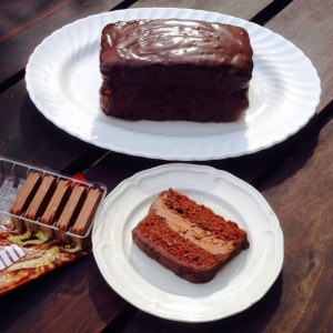 The Summer Edition. Celebrating Australia Day With… A Chocolate Tim Tam ...