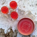 Happy Halloween. Spooky Bubble Tea. Frog Spawn With Beetlejuice. Lemon ...