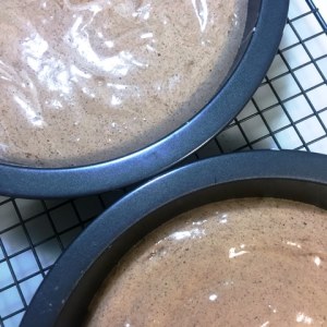 Fool-Proof. A Light and Airy Fat-Free Chocolate Sponge. | The ...